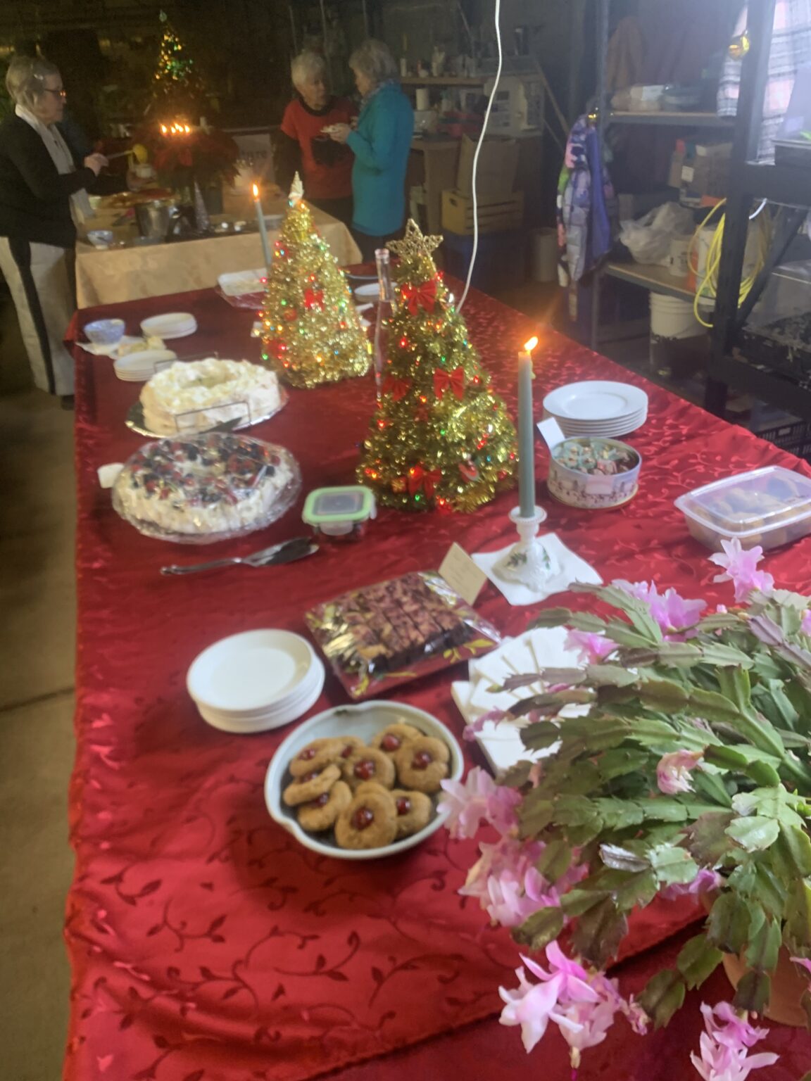 FOG Christmas Social – TRU Friends Of The Garden